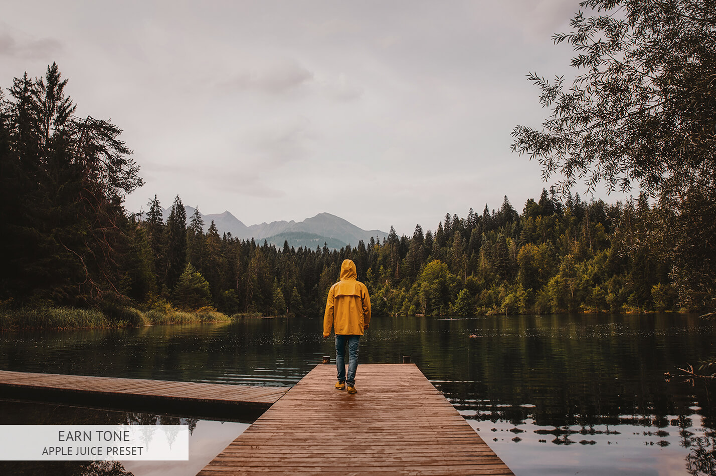 Earth Tone Mobile Presets