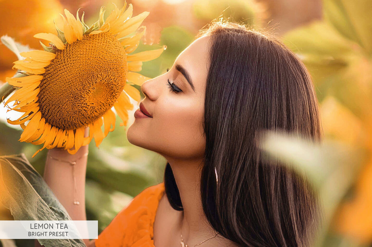 Lemon Tea Mobile Presets