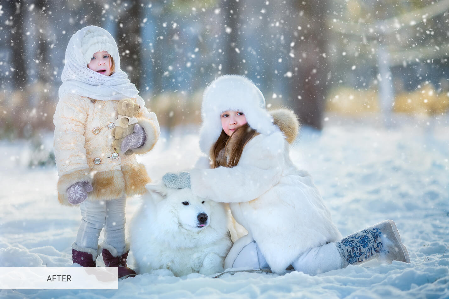 Fluffy Snow Photoshop Brushes|snowflakes brushes photoshop