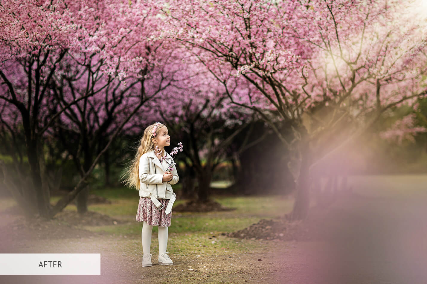 Light Rays Photoshop Overlays