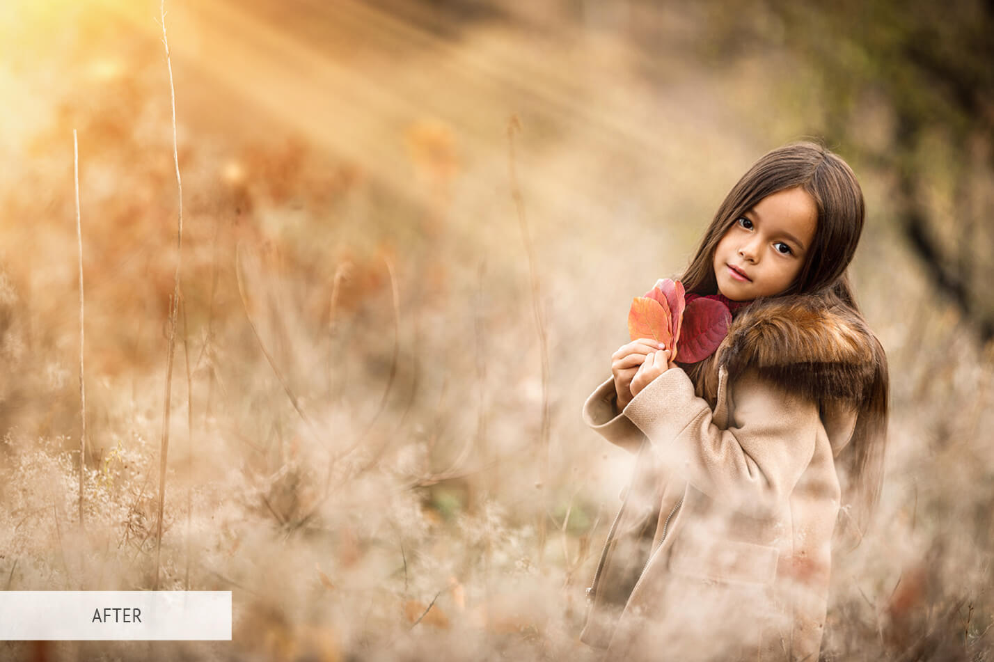 Light Photoshop Overlays