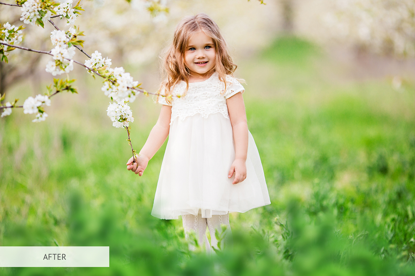 Nicely Flower Overlay Photoshop|50 Flower Overlays Photoshop in Set