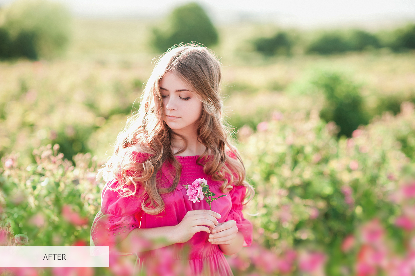 Nicely Flower Overlay Photoshop|50 Flower Overlays Photoshop in Set