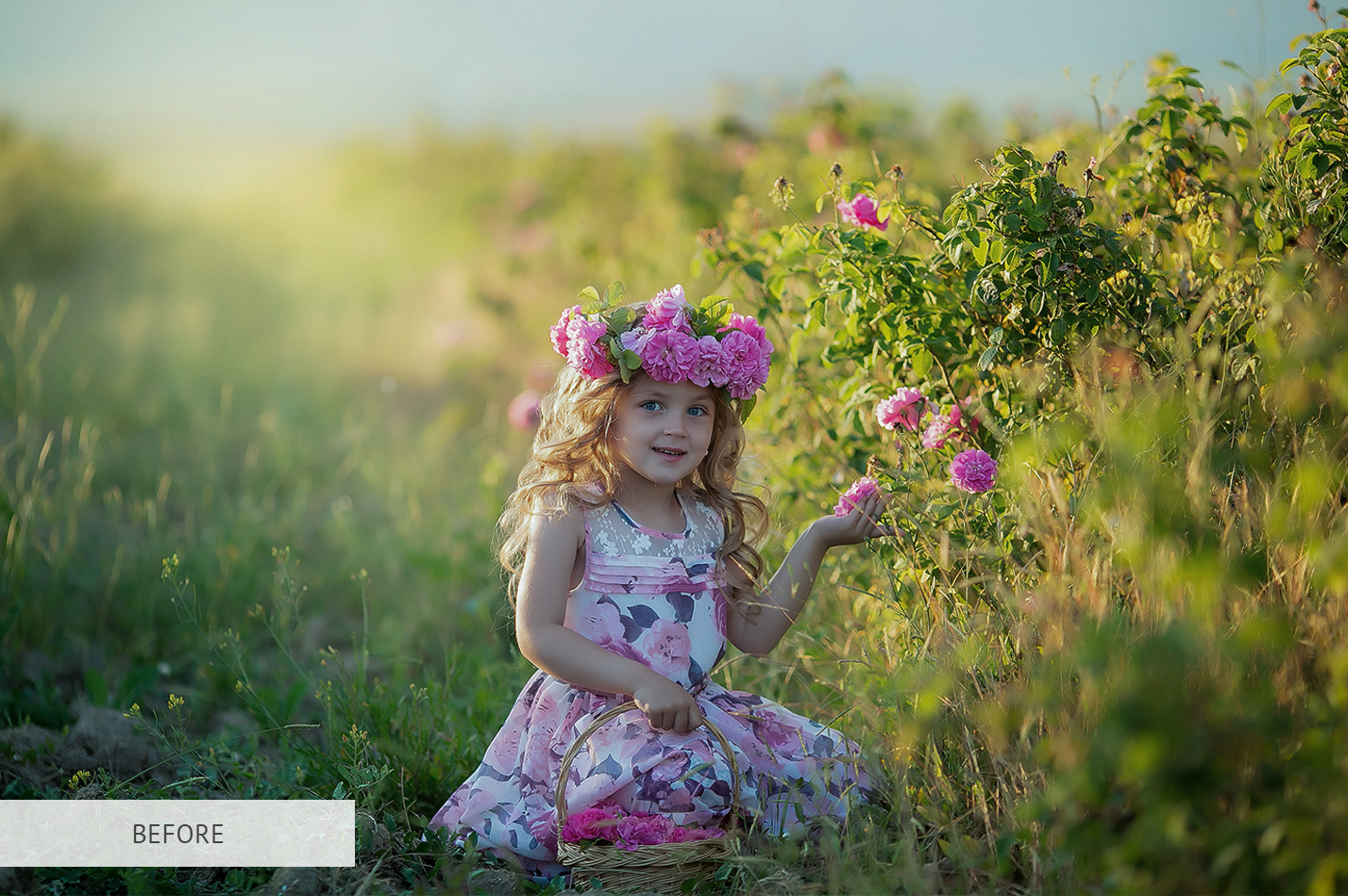 Nicely Flower Overlay Photoshop|50 Flower Overlays Photoshop in Set