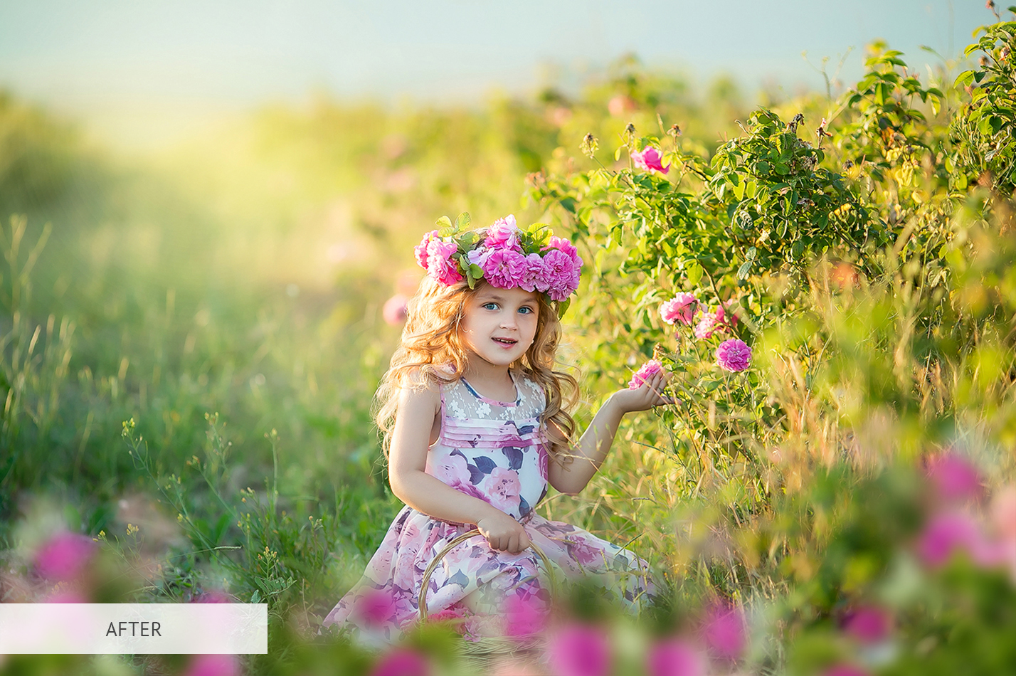 Nicely Flower Overlay Photoshop|50 Flower Overlays Photoshop in Set