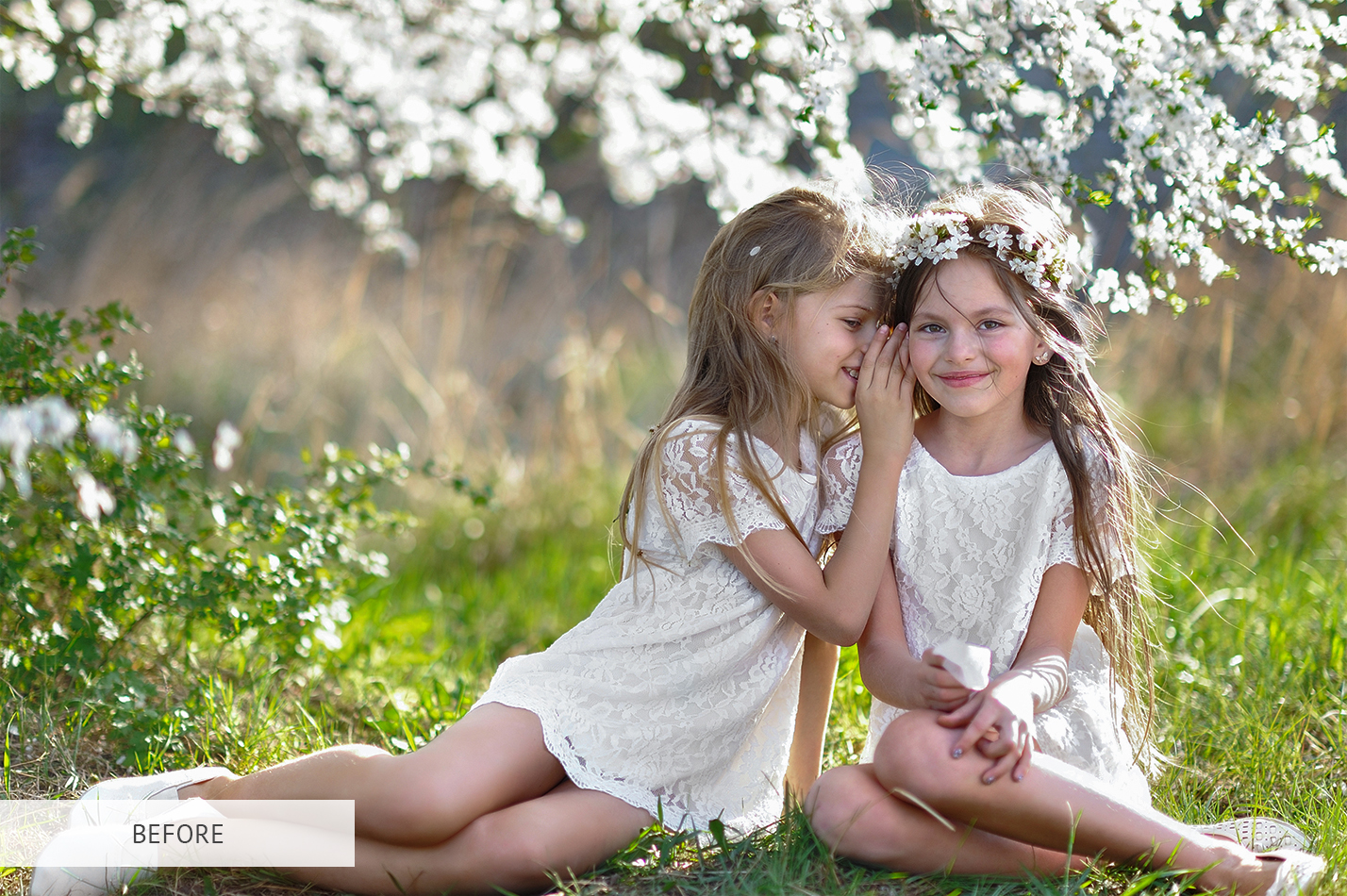 Nicely Flower Overlay Photoshop|50 Flower Overlays Photoshop in Set