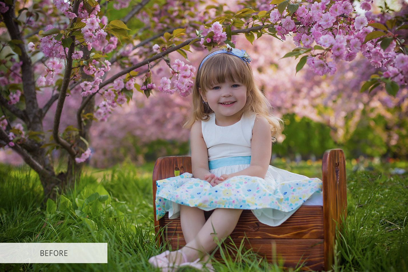 Nicely Flower Overlay Photoshop|50 Flower Overlays Photoshop in Set