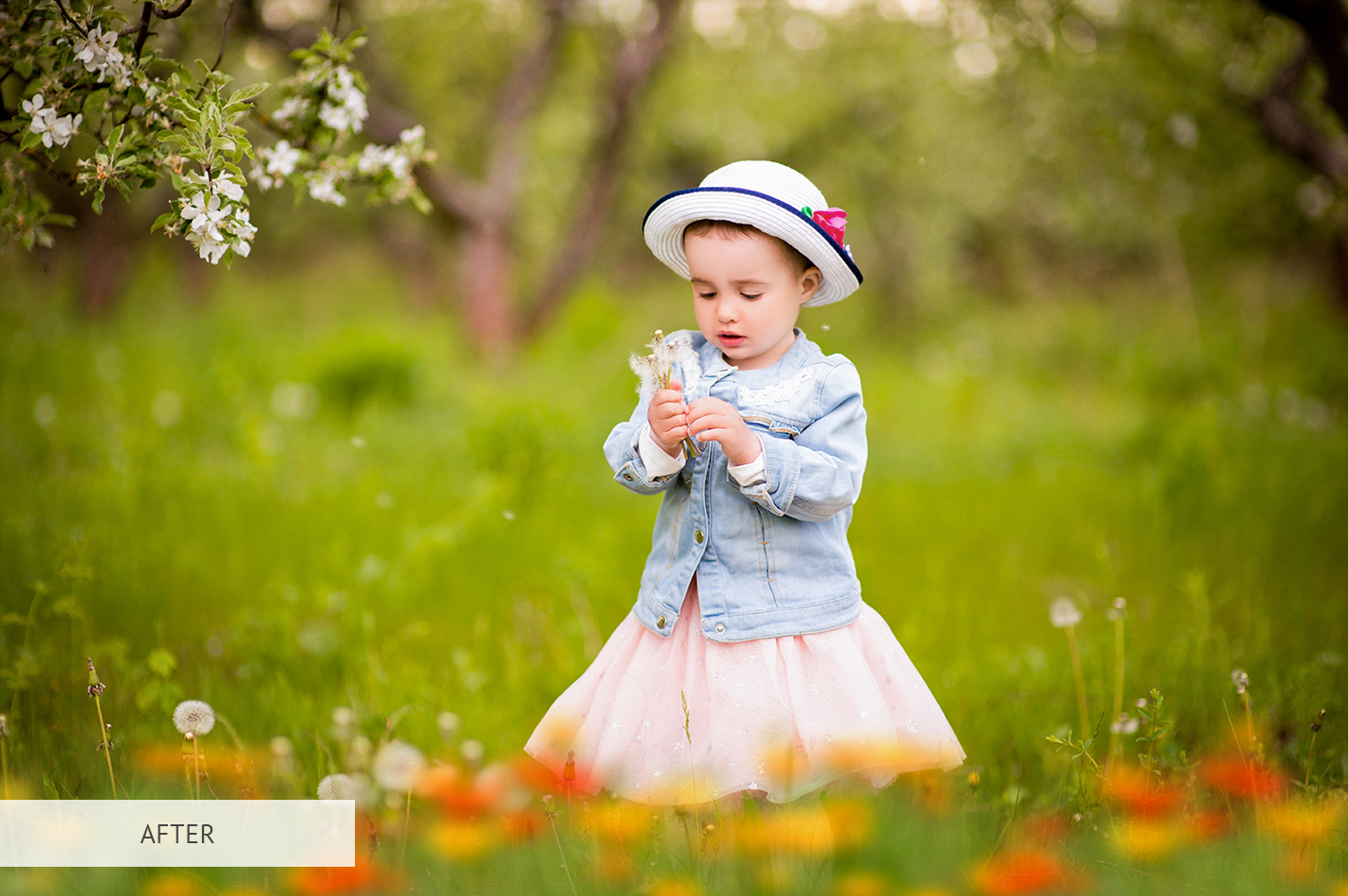 Nicely Flower Overlay Photoshop|50 Flower Overlays Photoshop in Set