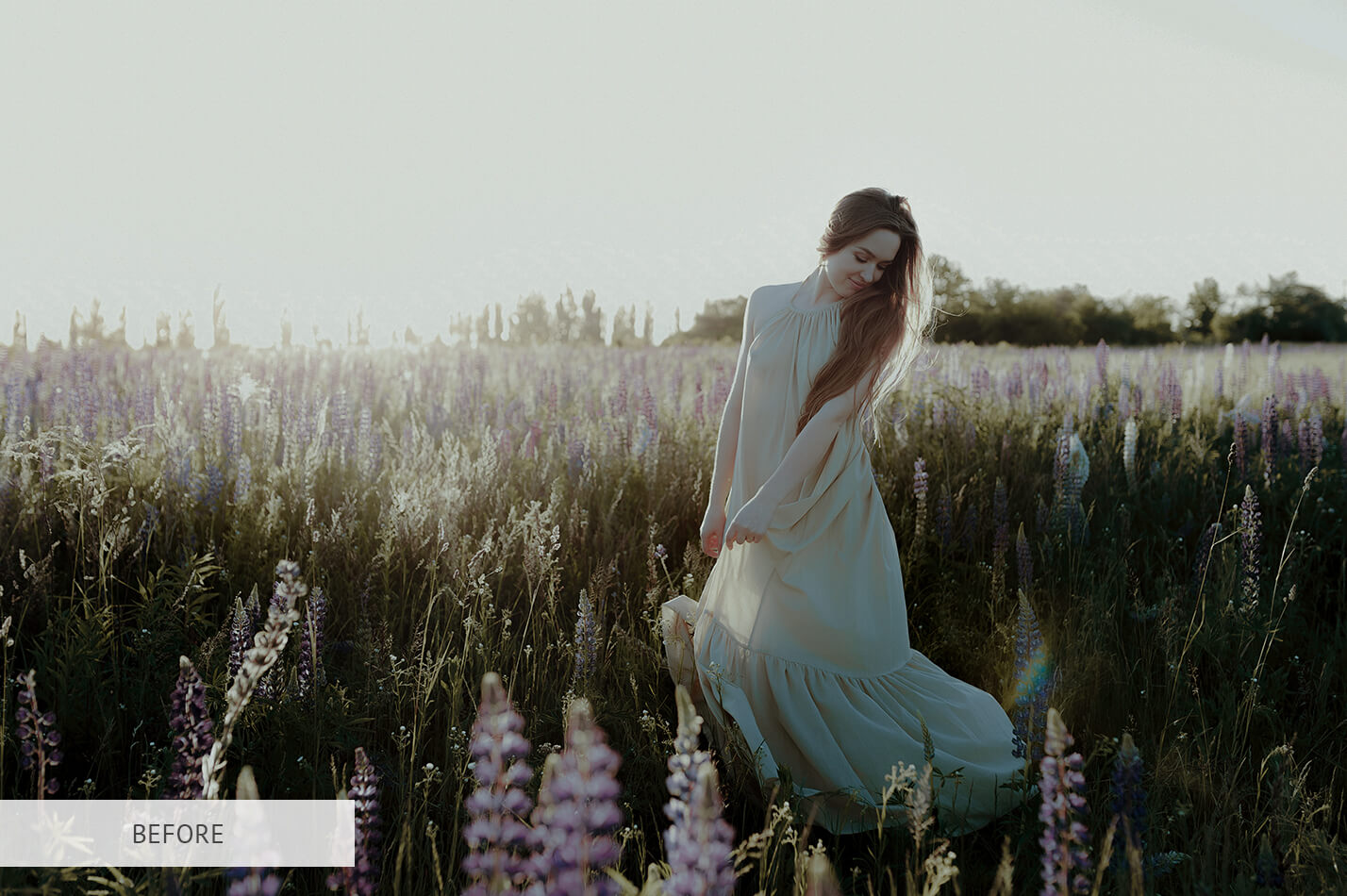 Sunrise to Sunset Mobile Presets