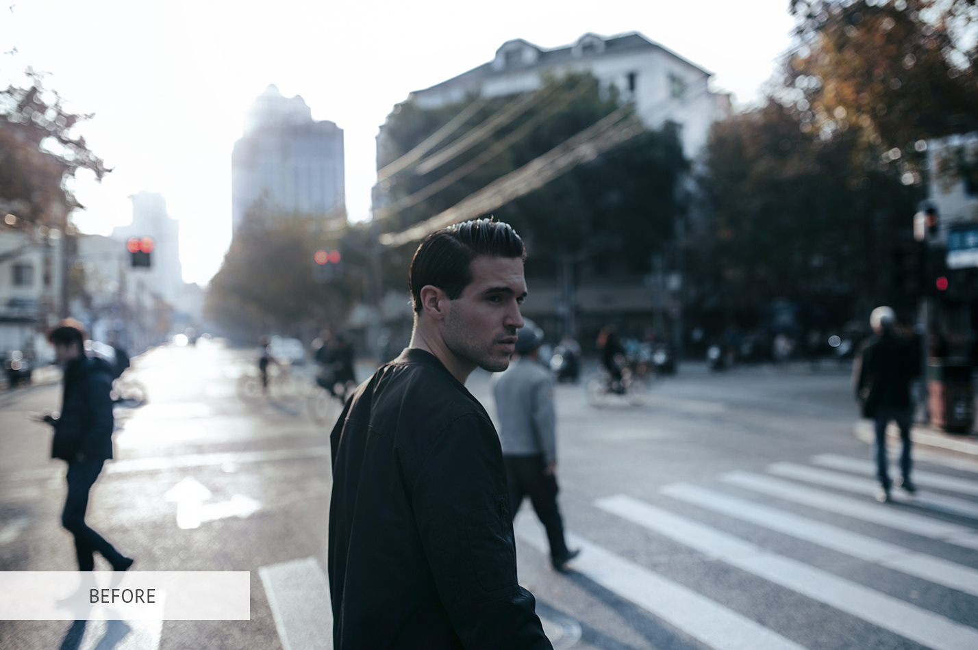 Stylish Portrait - Complete Collection