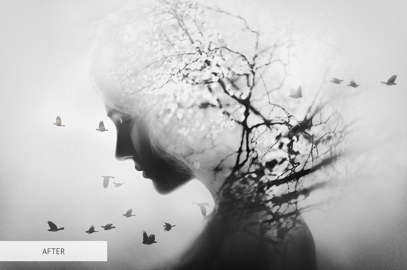 Image Manipulation Online Service | Make Creative Photo Manipulation Online