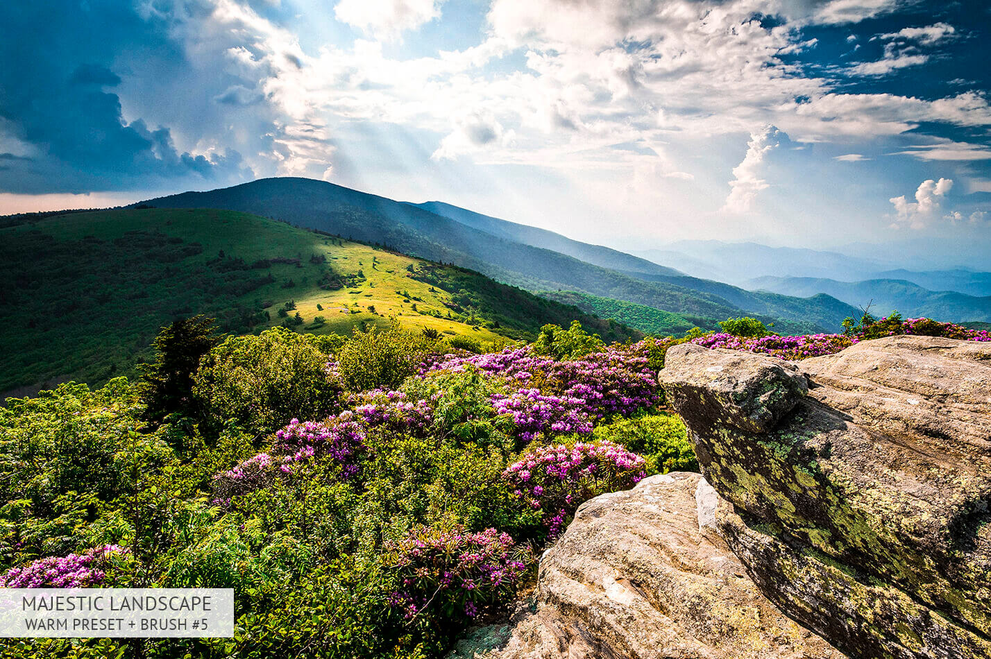 Majestic Landscape Collection