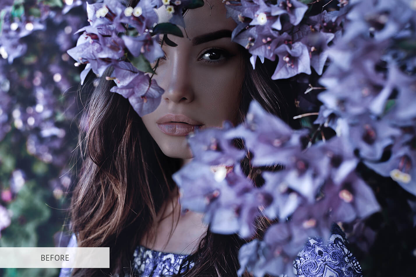 Portrait Pro Collection