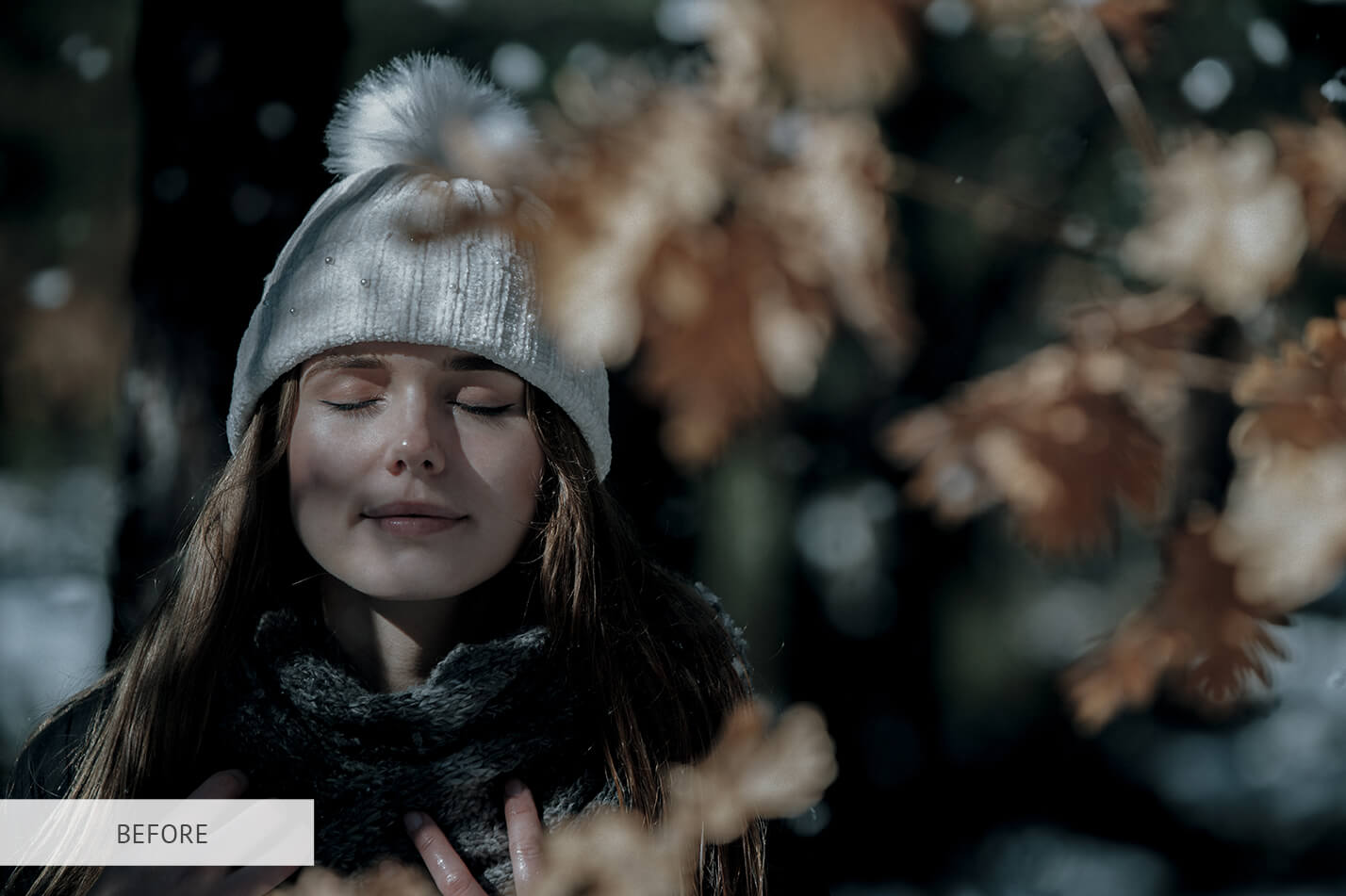 Ice Photoshop Overlays