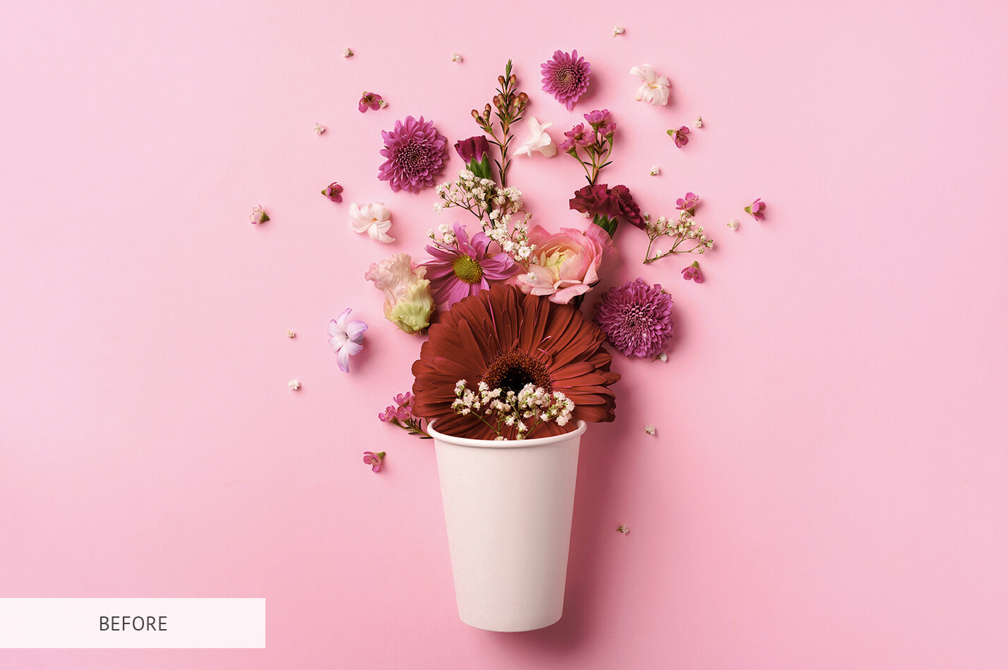 Color Splash Photoshop Overlays