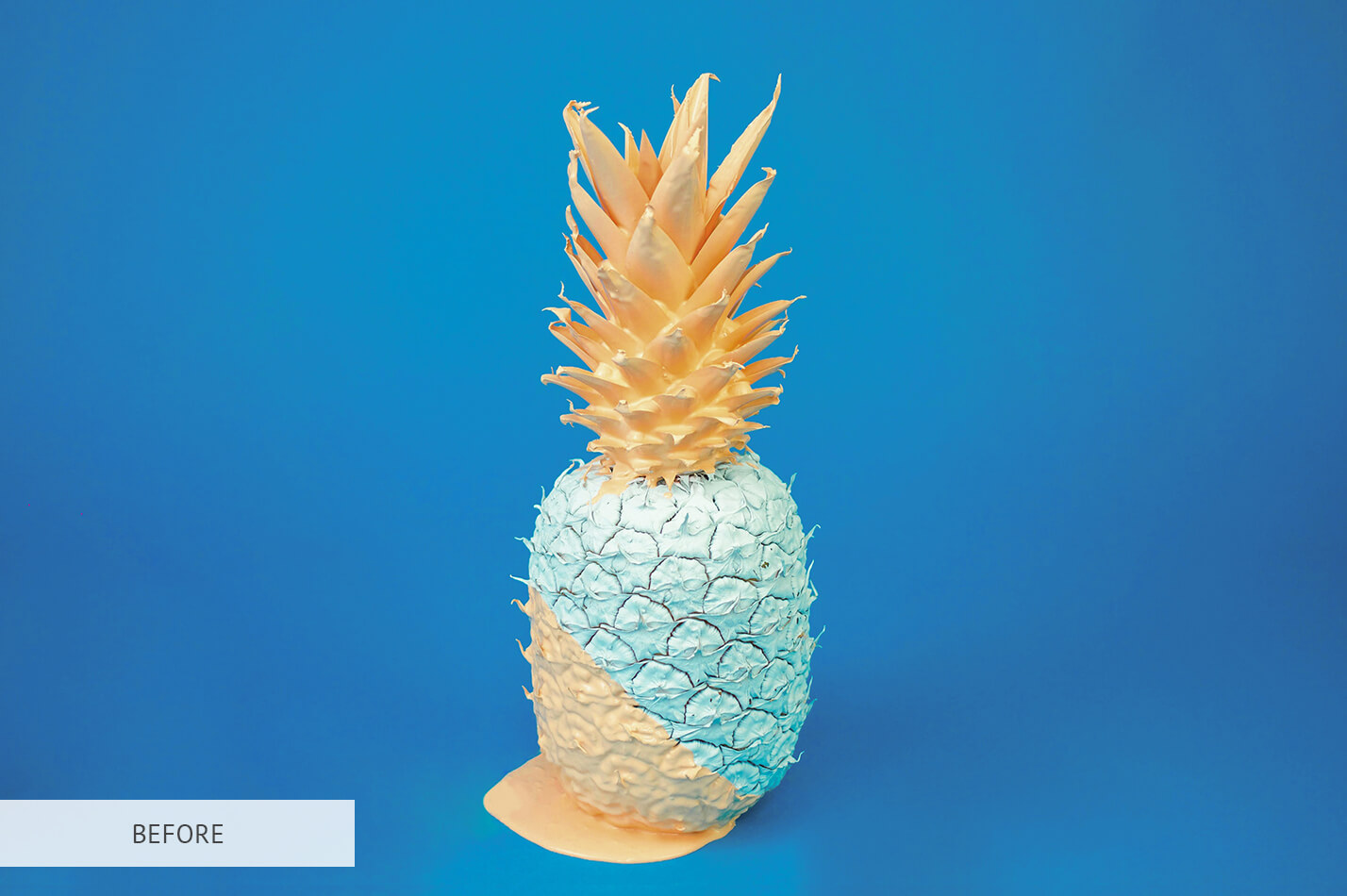 Color Splash Photoshop Overlays