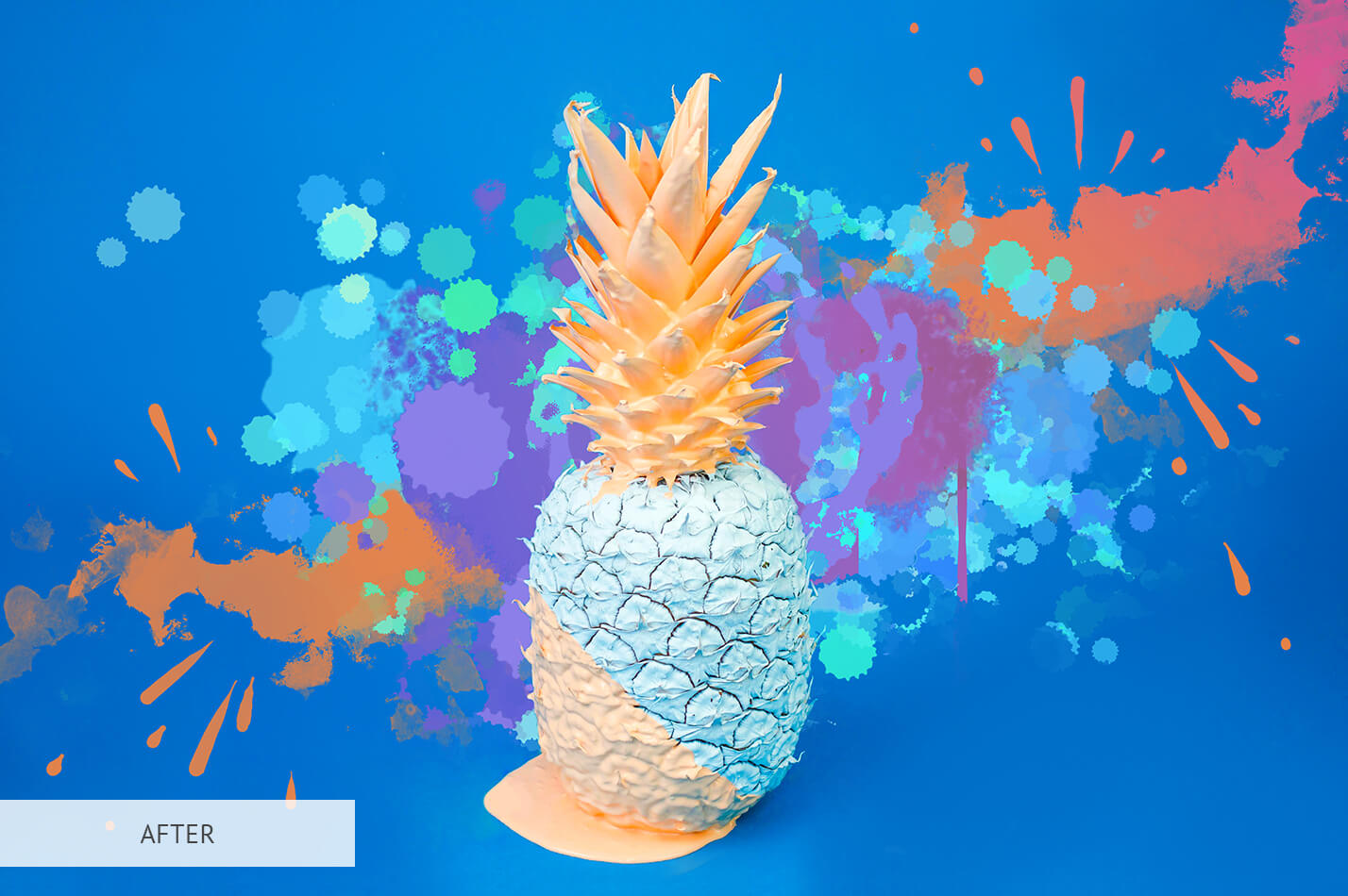 Color Splash Photoshop Overlays