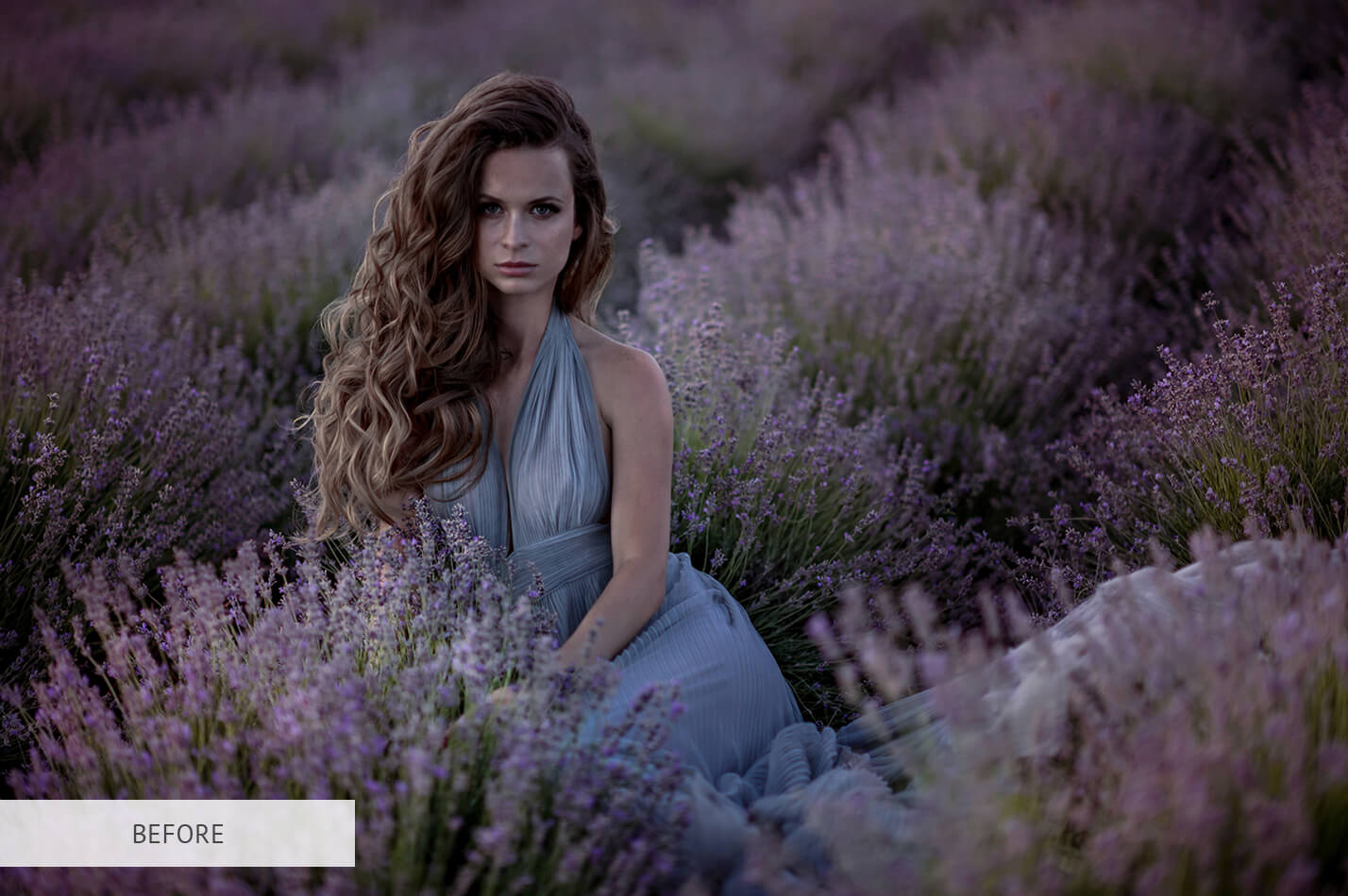 Portrait Pro Collection