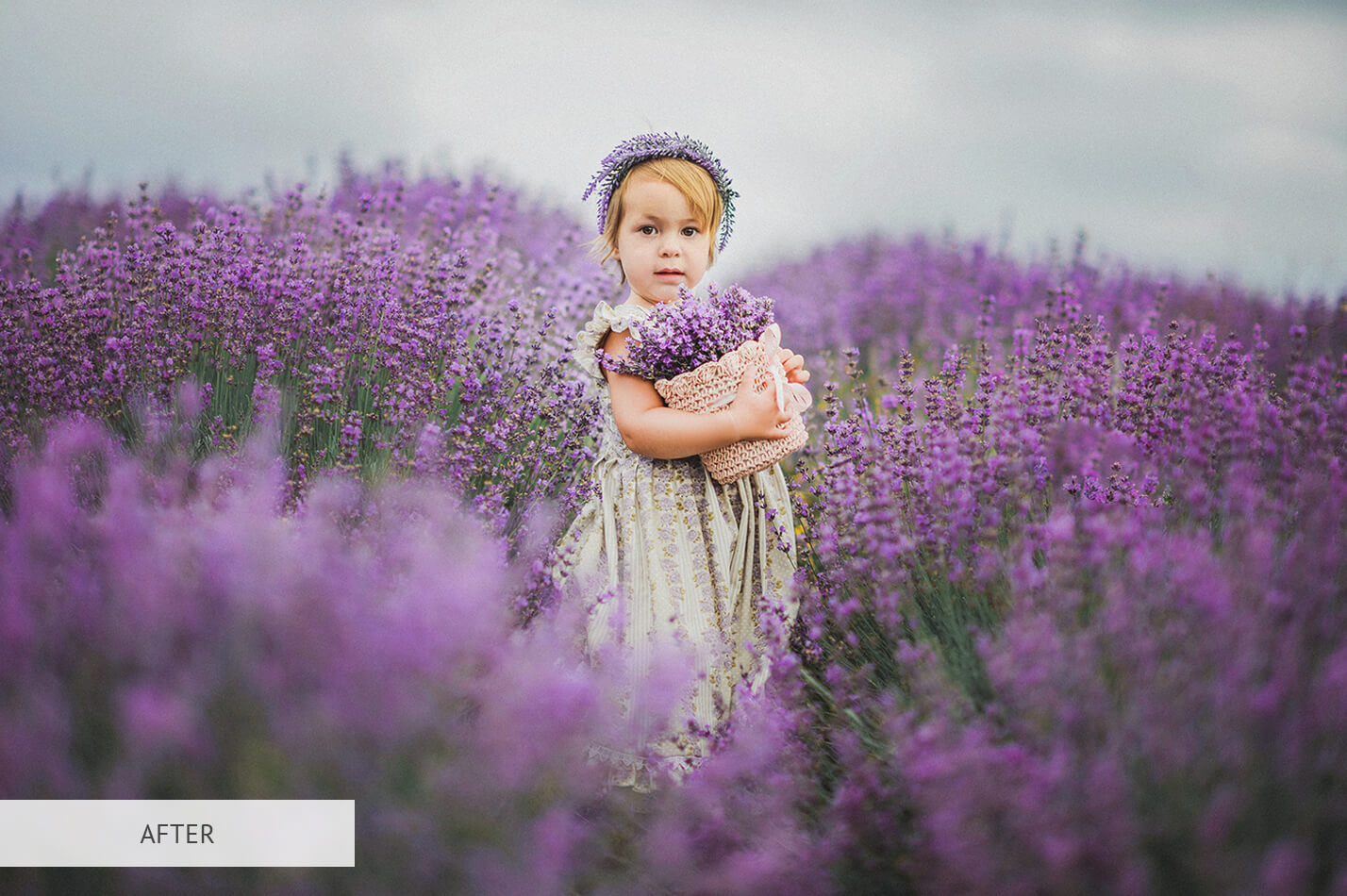 Professional Lightroom preset pack|Mega photoshop Lightroom bundle