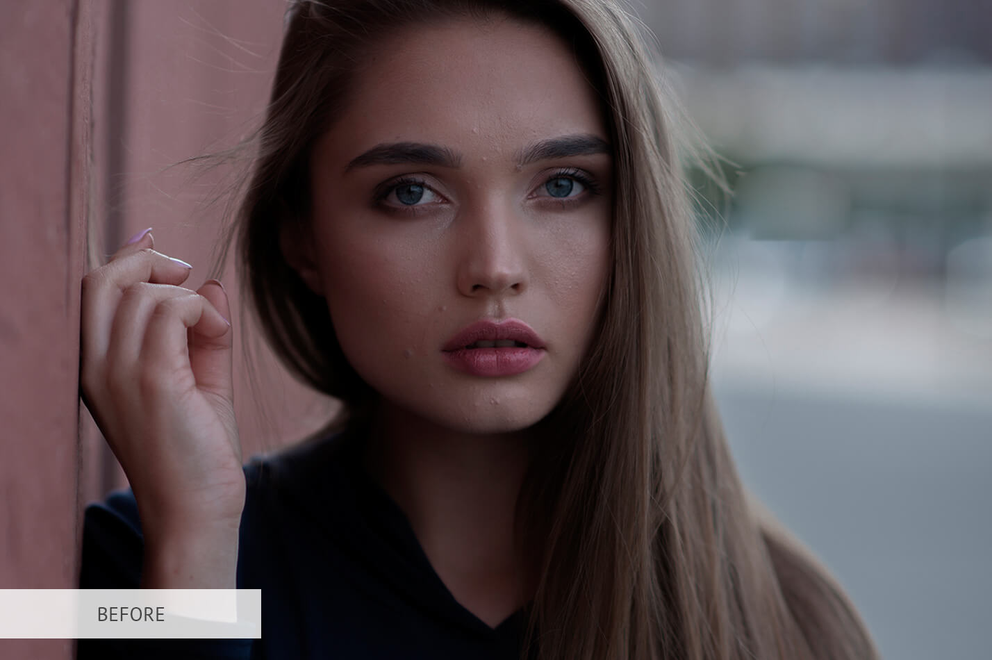 Portrait Pro Lightroom Presets - 40 Professional Lr Filters