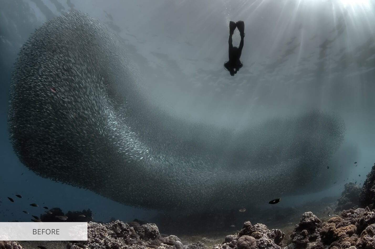 Underwater Photoshop Actions
