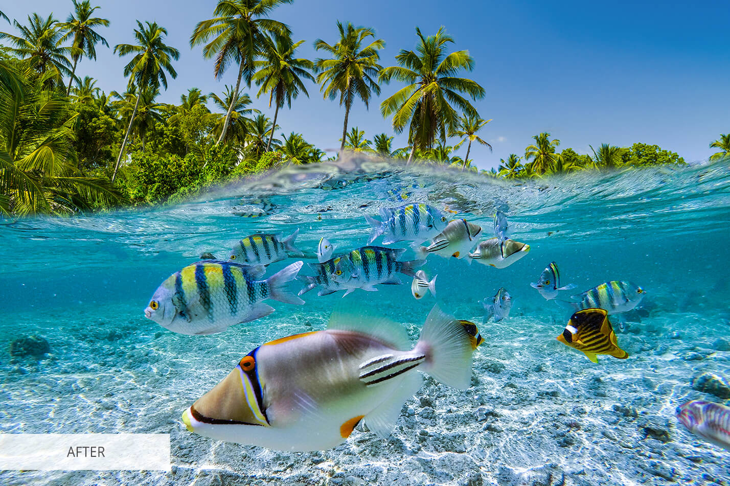 Underwater Photoshop Actions
