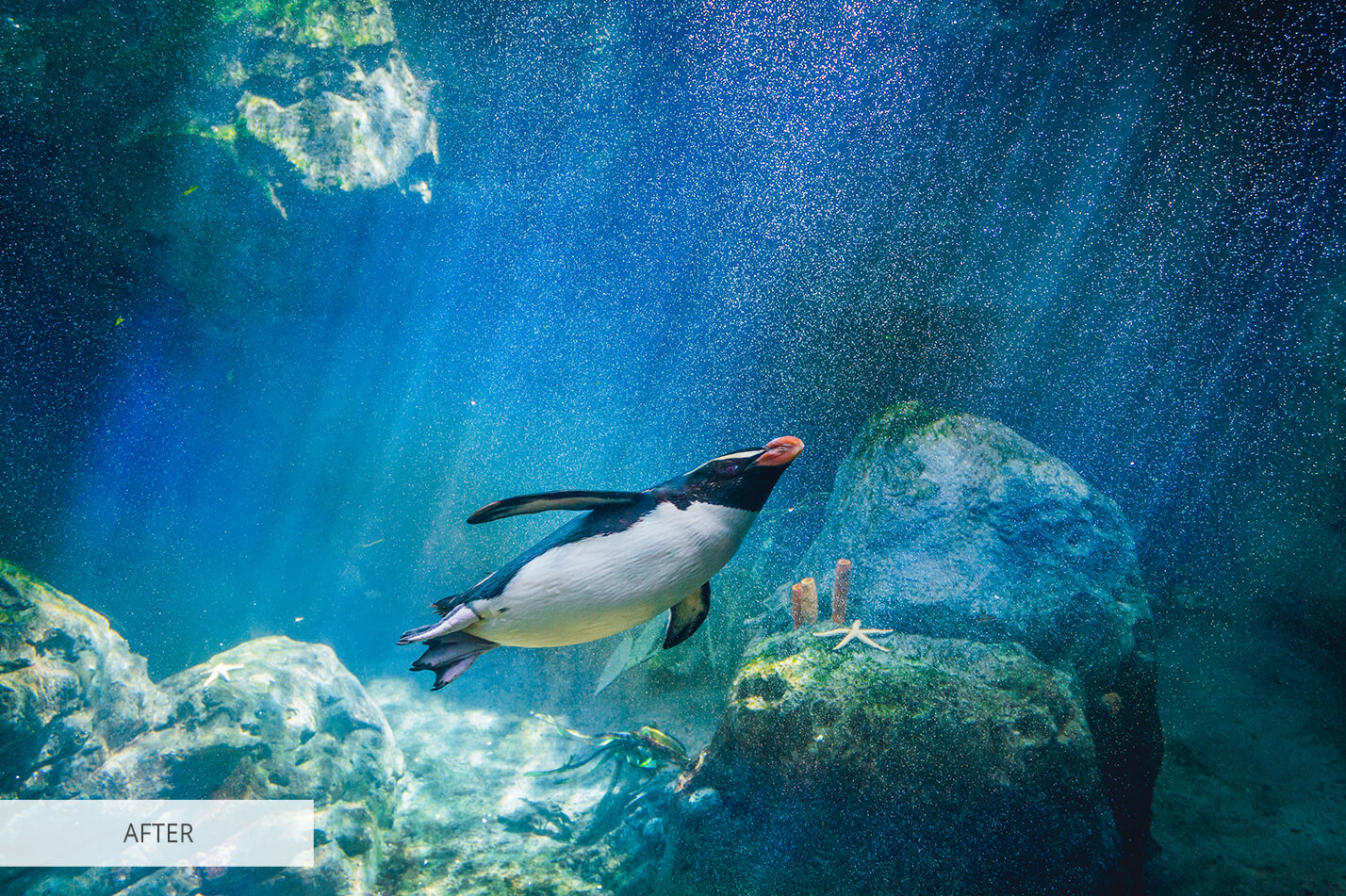 Underwater Photoshop Actions