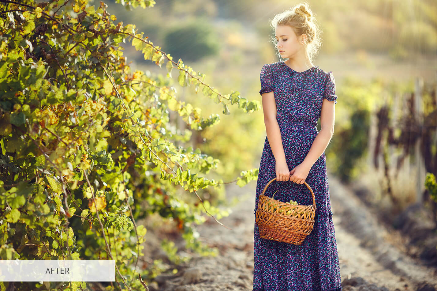 Photo Edting Tools - Entire Collection